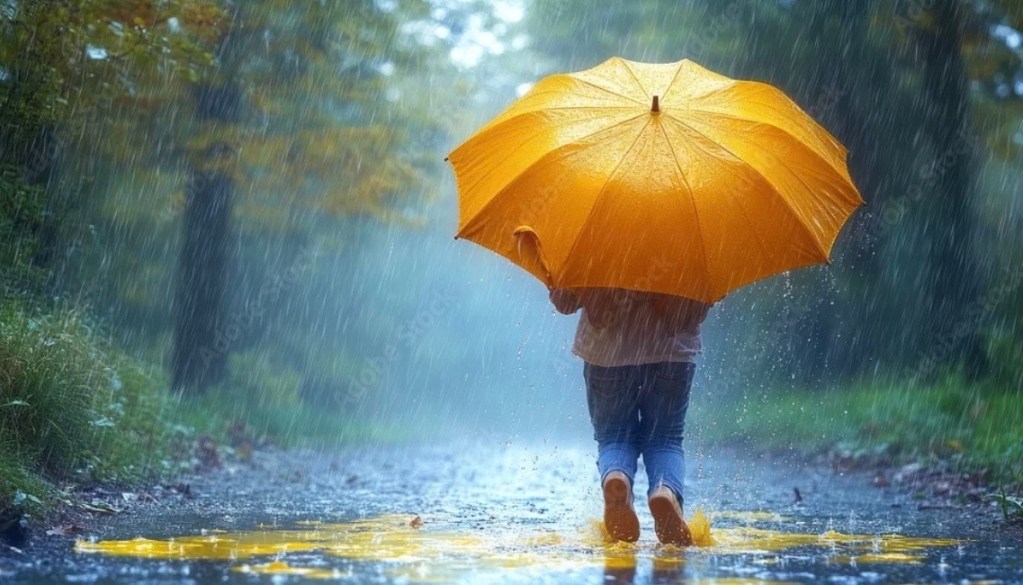 Vision - Sunshine Through The Rain